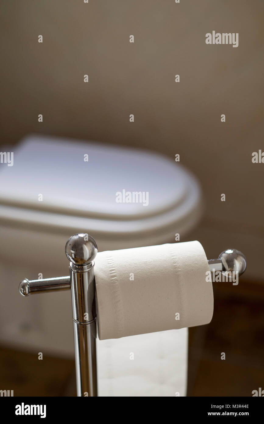 closeup of a roll of toilet paper in a roll holder in front of a toilet ...