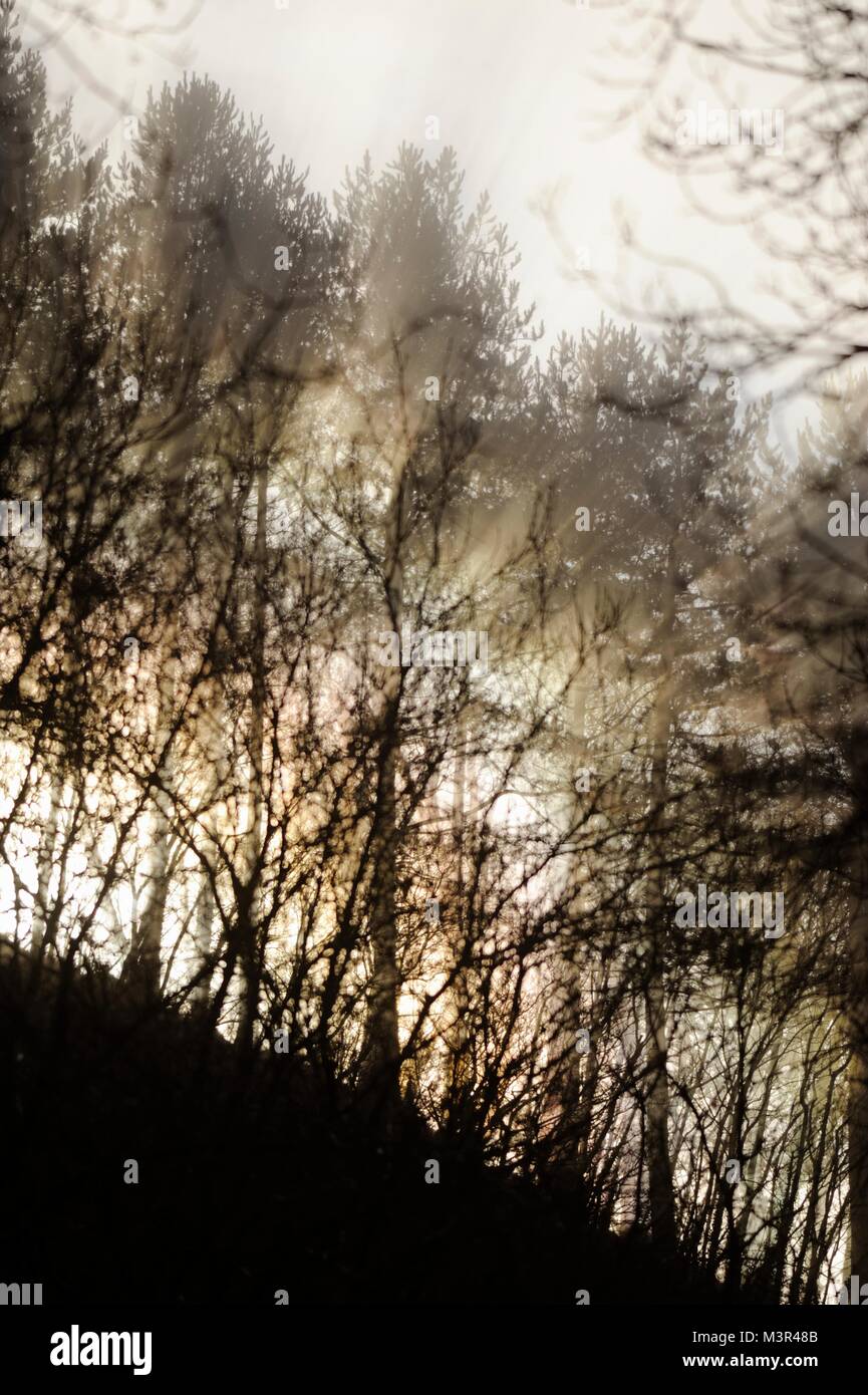 Radiant beams hi-res stock photography and images - Alamy