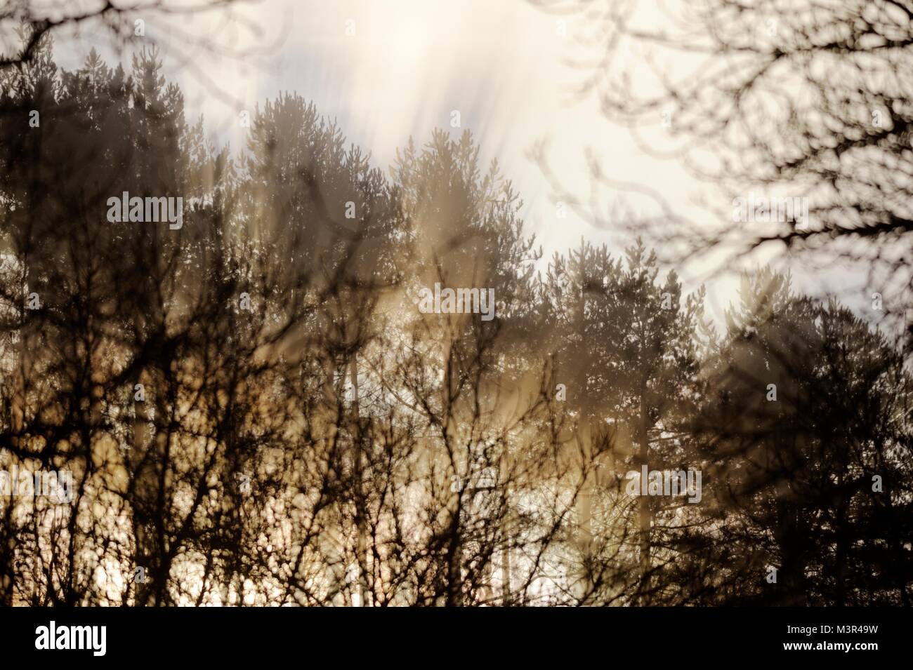 Radiance beam hi-res stock photography and images - Alamy