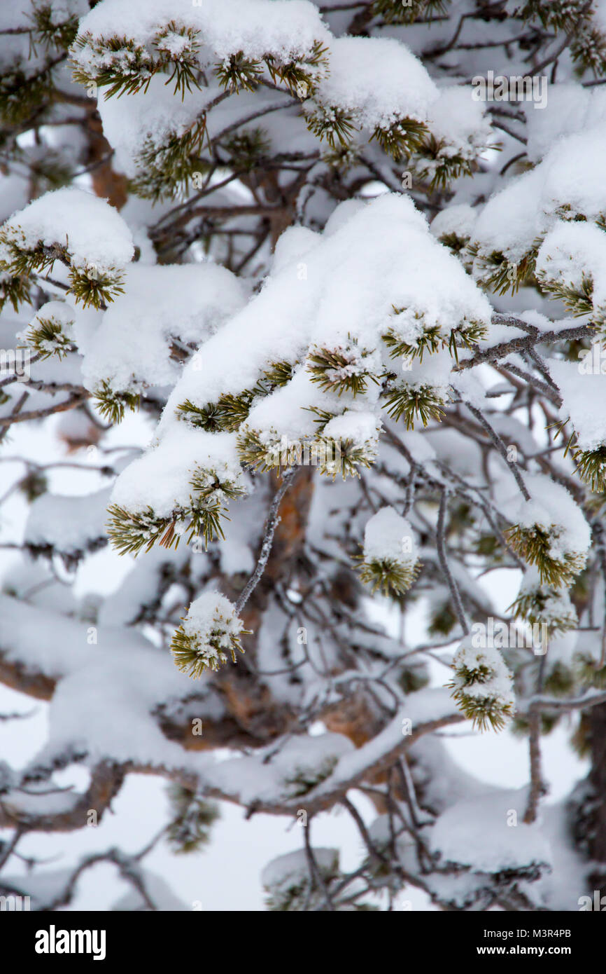 Piled Up Snow Stock Photos & Piled Up Snow Stock Images - Alamy
