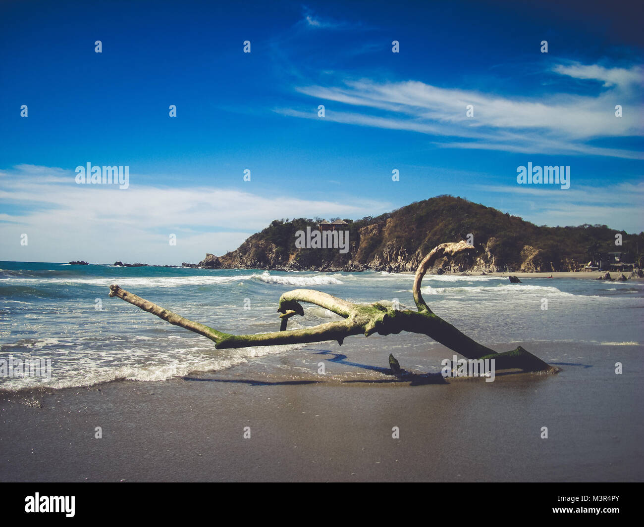 Log on beach Stock Photo - Alamy