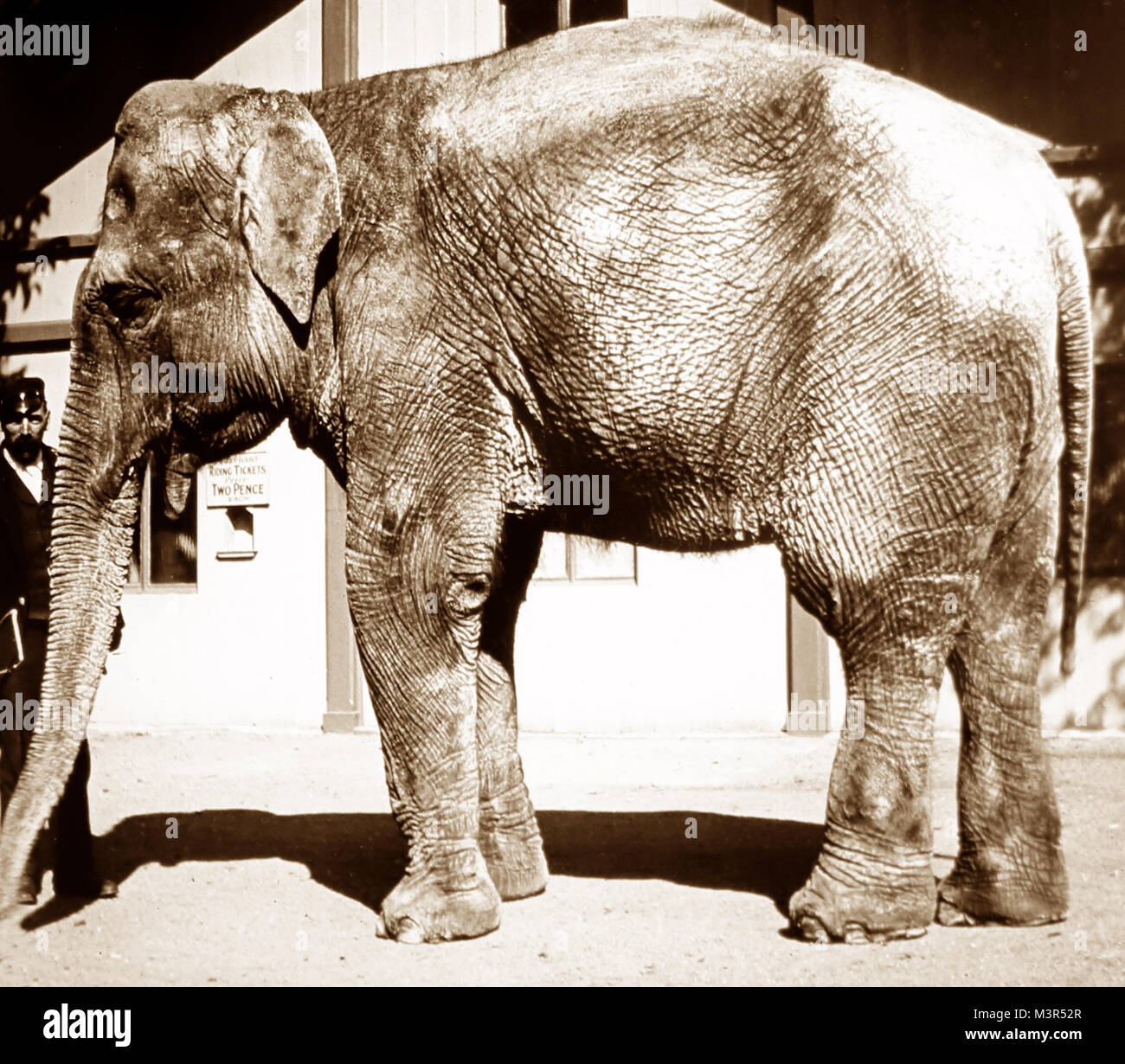 Keeper zoo hi-res stock photography and images - Alamy