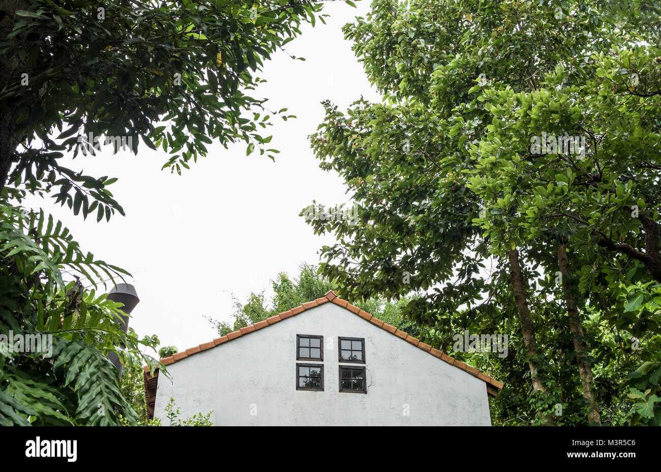 house with green tree forest at countryside Stock Photo - Alamy