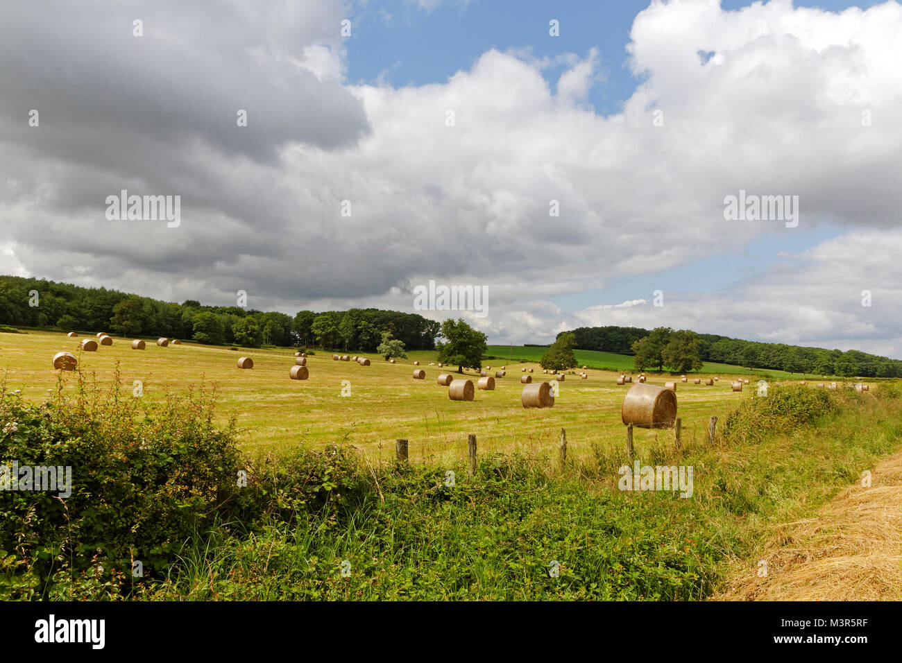 France harvest hi-res stock photography and images - Alamy