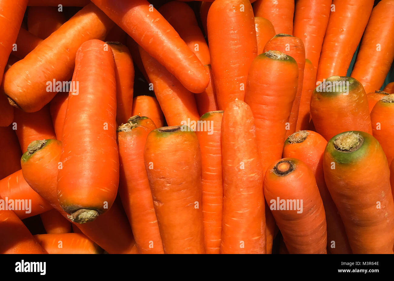 Beautiful bunch of fresh carrots hi-res stock photography and images ...
