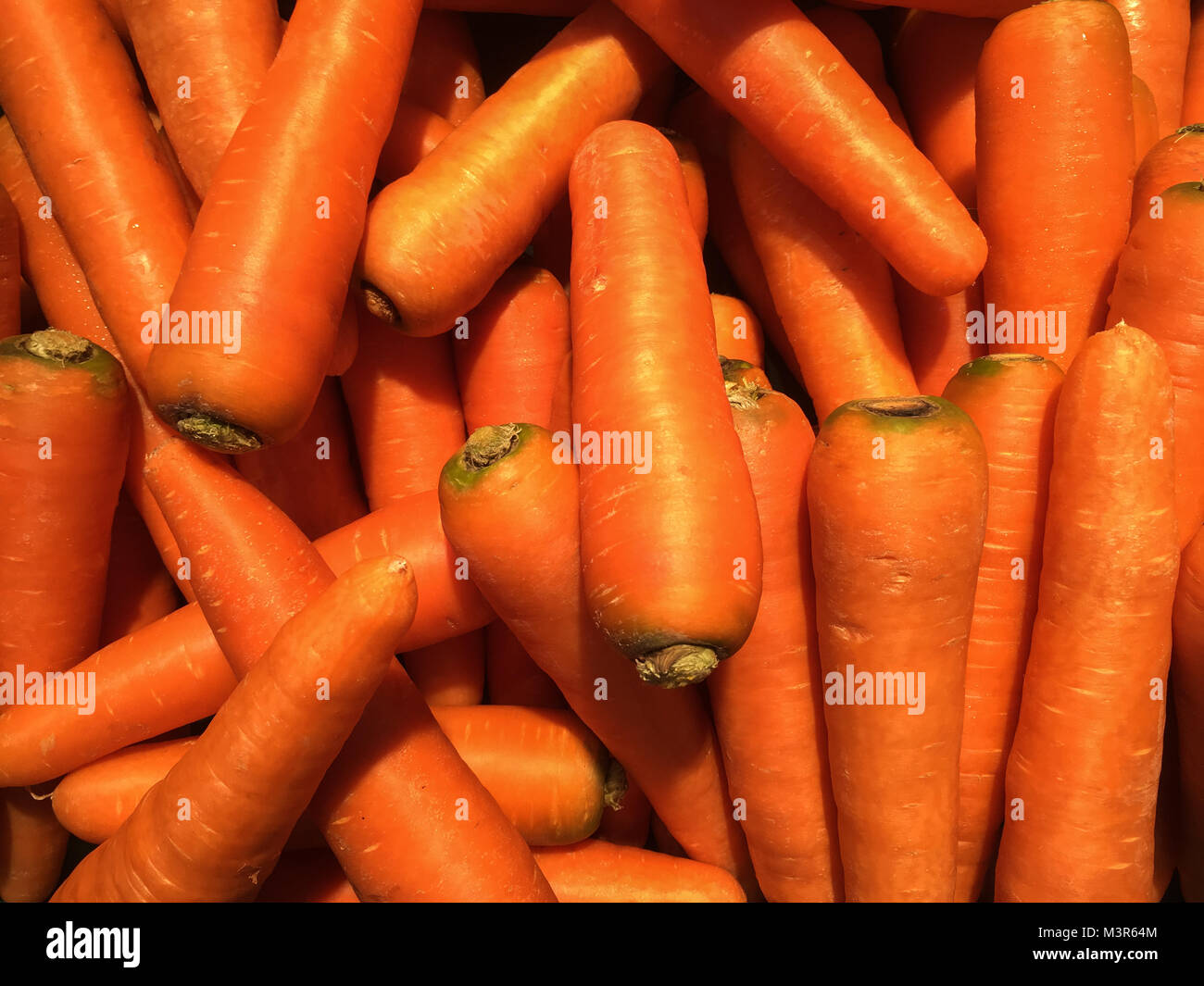 Bunch beautiful fresh organic carrots hi-res stock photography and ...