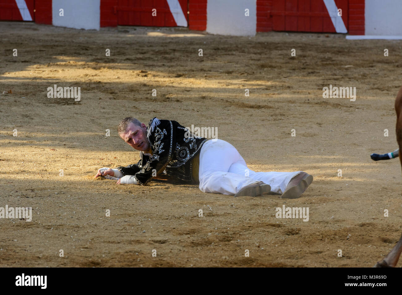 Humane bullfighting hi-res stock photography and images - Alamy