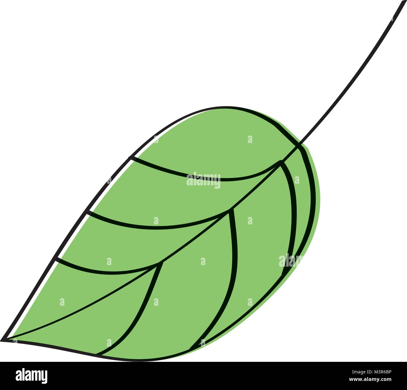 leaf foliage botany frond natural icon Stock Vector Image & Art - Alamy
