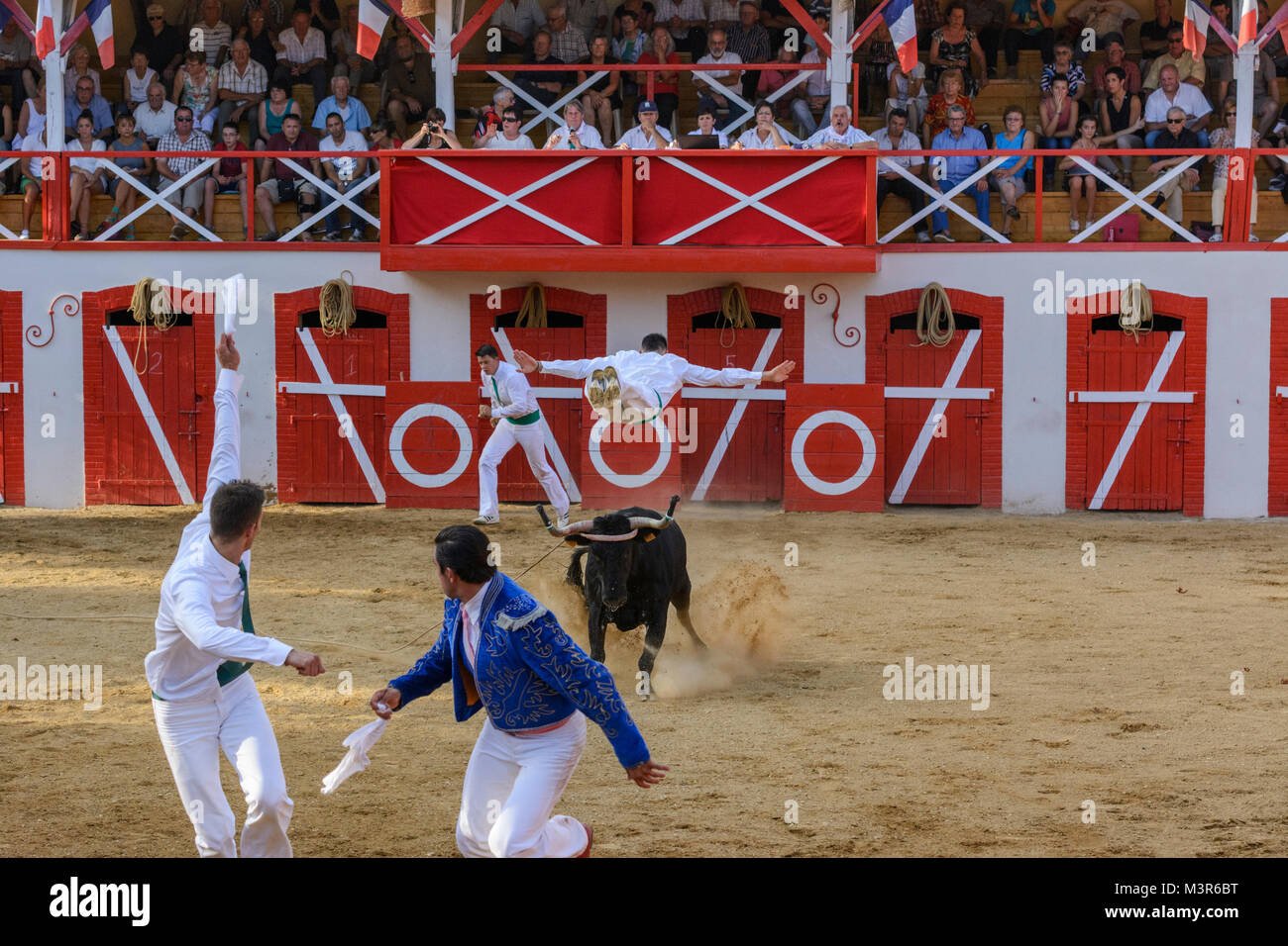 Humane bullfighting hi-res stock photography and images - Alamy