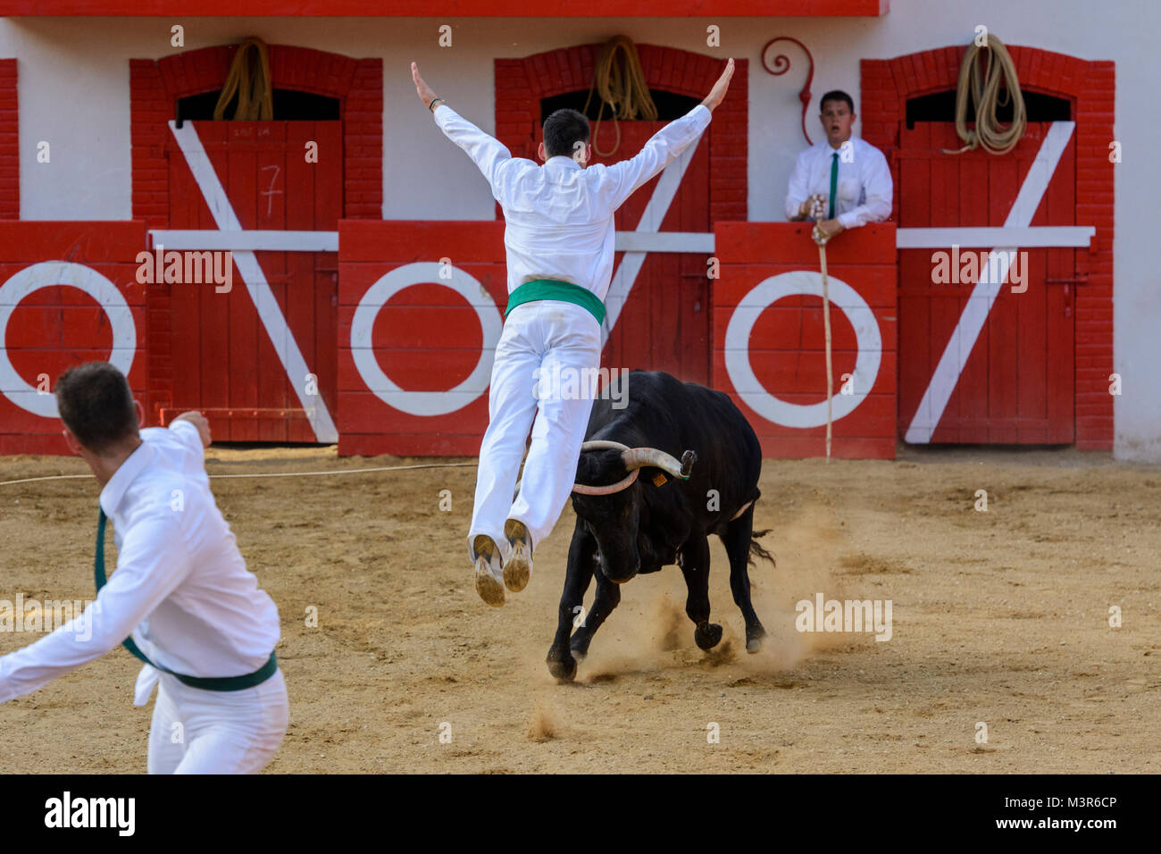Humane bullfighting hi-res stock photography and images - Alamy
