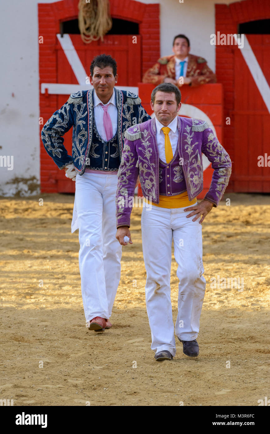 Course Landaise - a humane form of bullfighting involving dodging ...