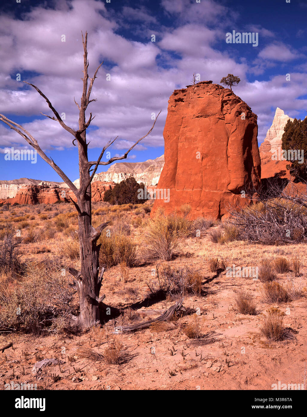 Kodachrome basin park red sandstone landscape, Utah, United States of ...