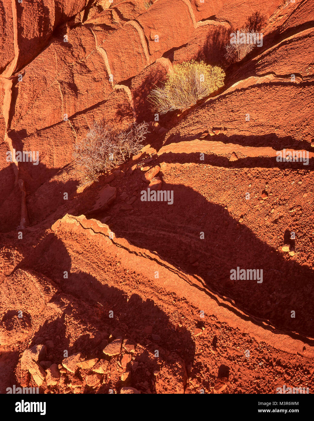 Red sandstone formation abstract at horseshoe bend, Arizona, United ...