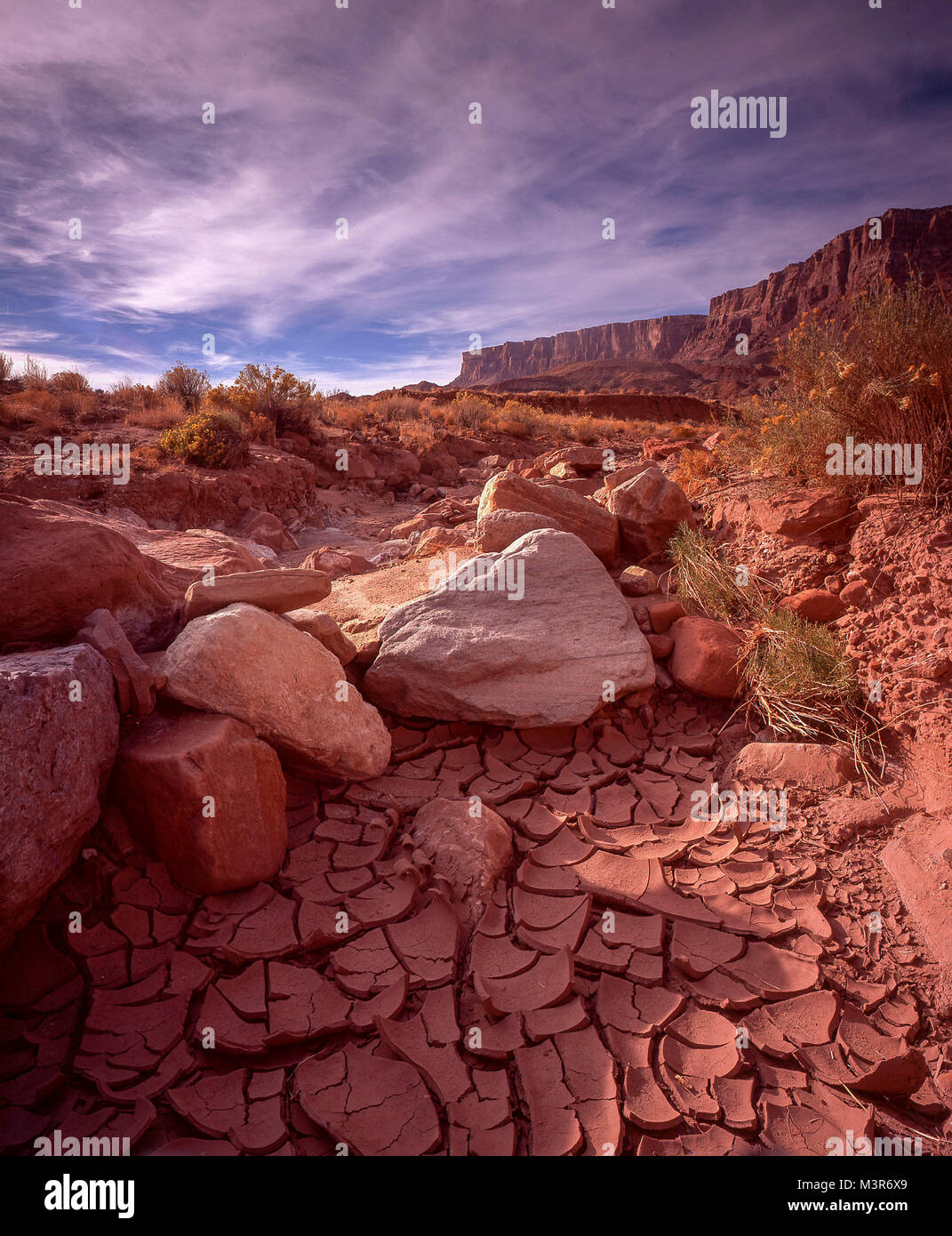 Dry riverbed rocks in Nevada, USA Stock Photo - Alamy
