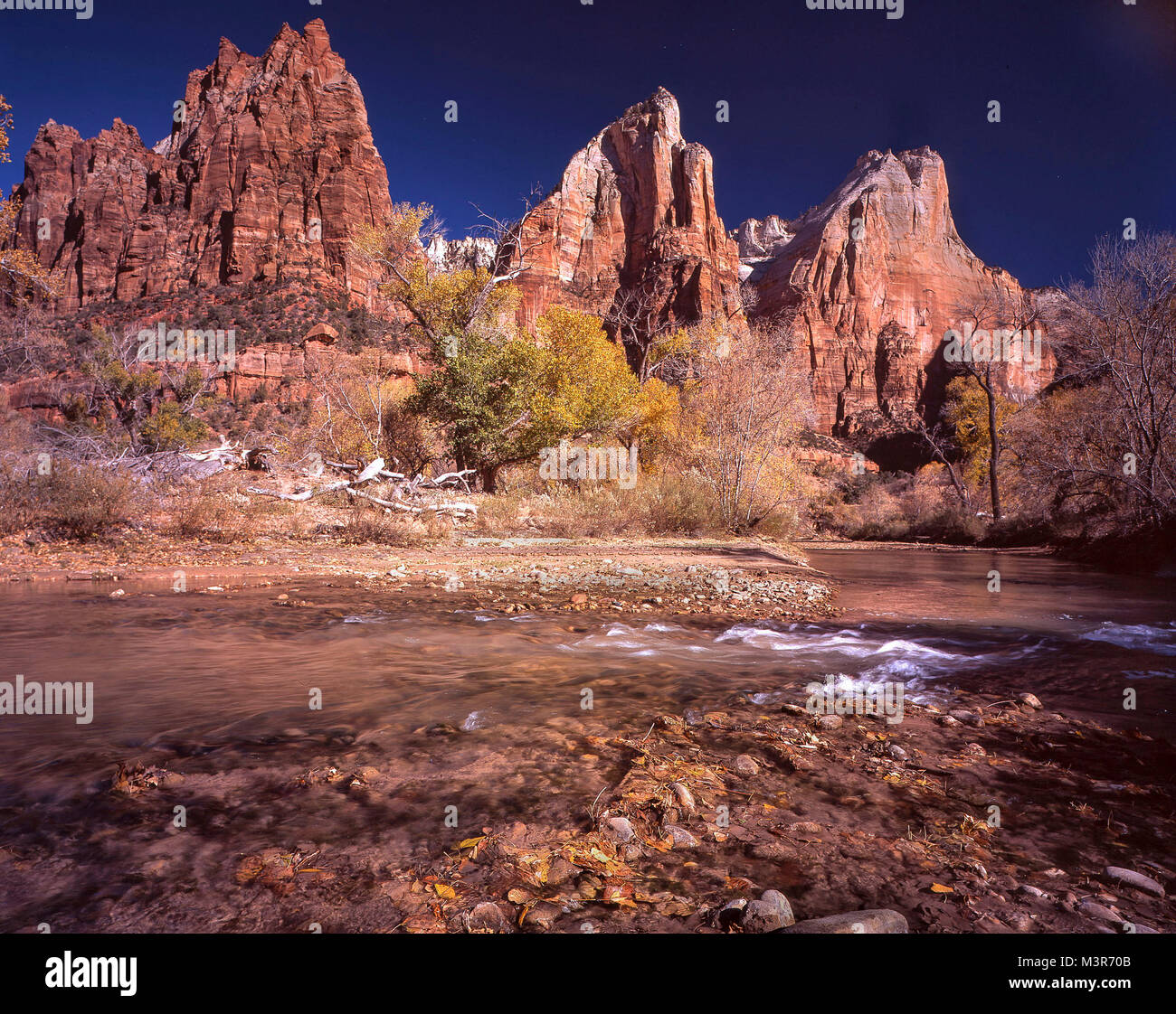 Zion national park landscape, Utah, USA Stock Photo - Alamy