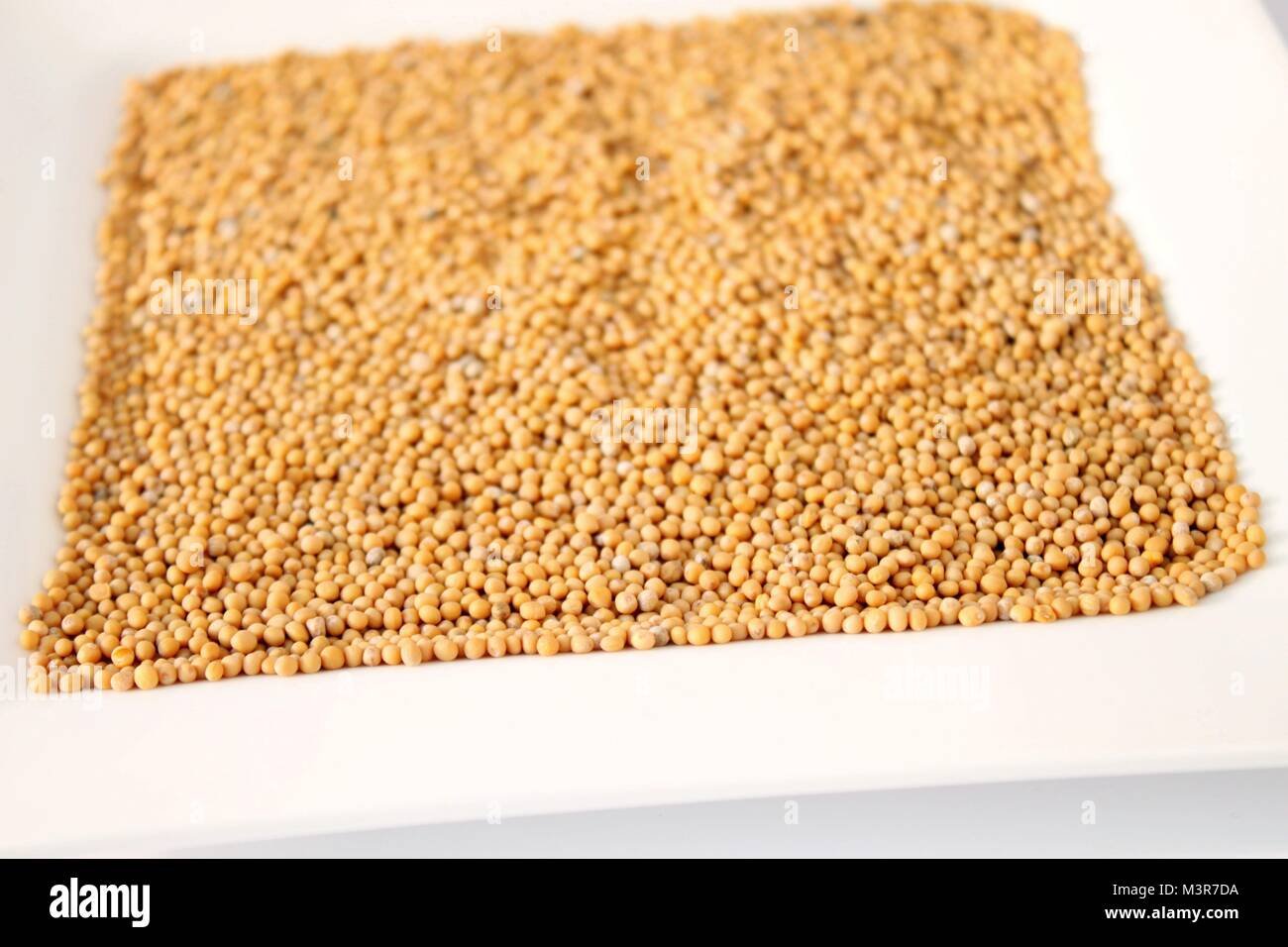 Organic mustard hi-res stock photography and images - Alamy