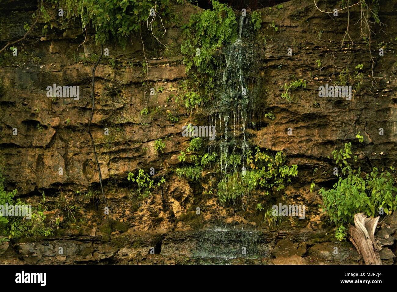 The amazing beauty that mother nature blessed us with Stock Photo - Alamy
