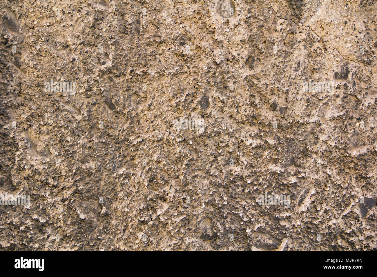 Photo of background colorful roughness gritty texture Stock Photo - Alamy