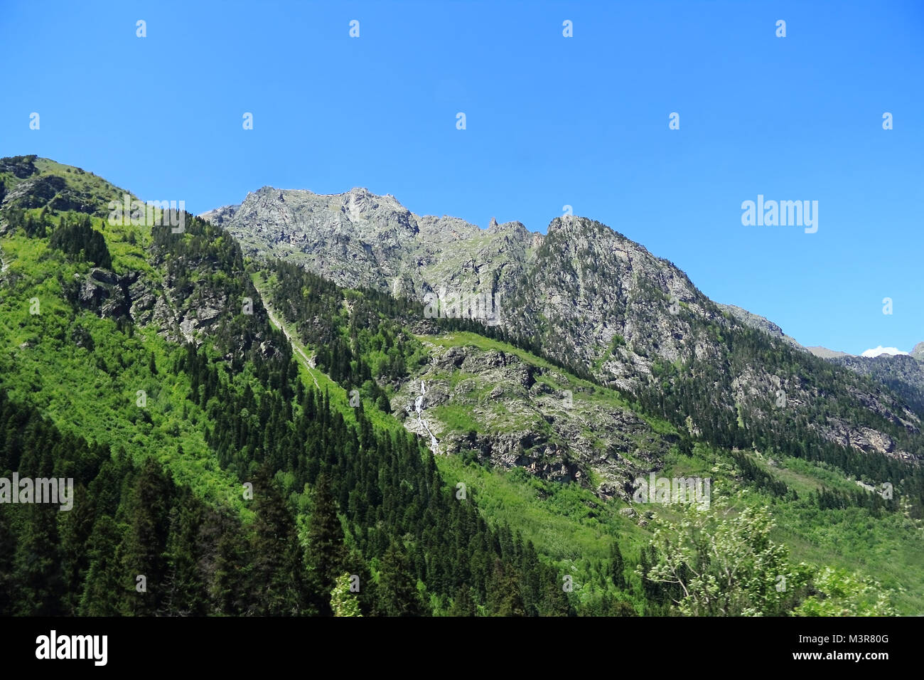 Summer scenery of Caucasus green mountains Stock Photo - Alamy