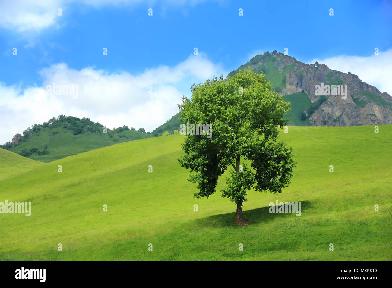 Image of beautiful landscape with green tree Stock Photo - Alamy