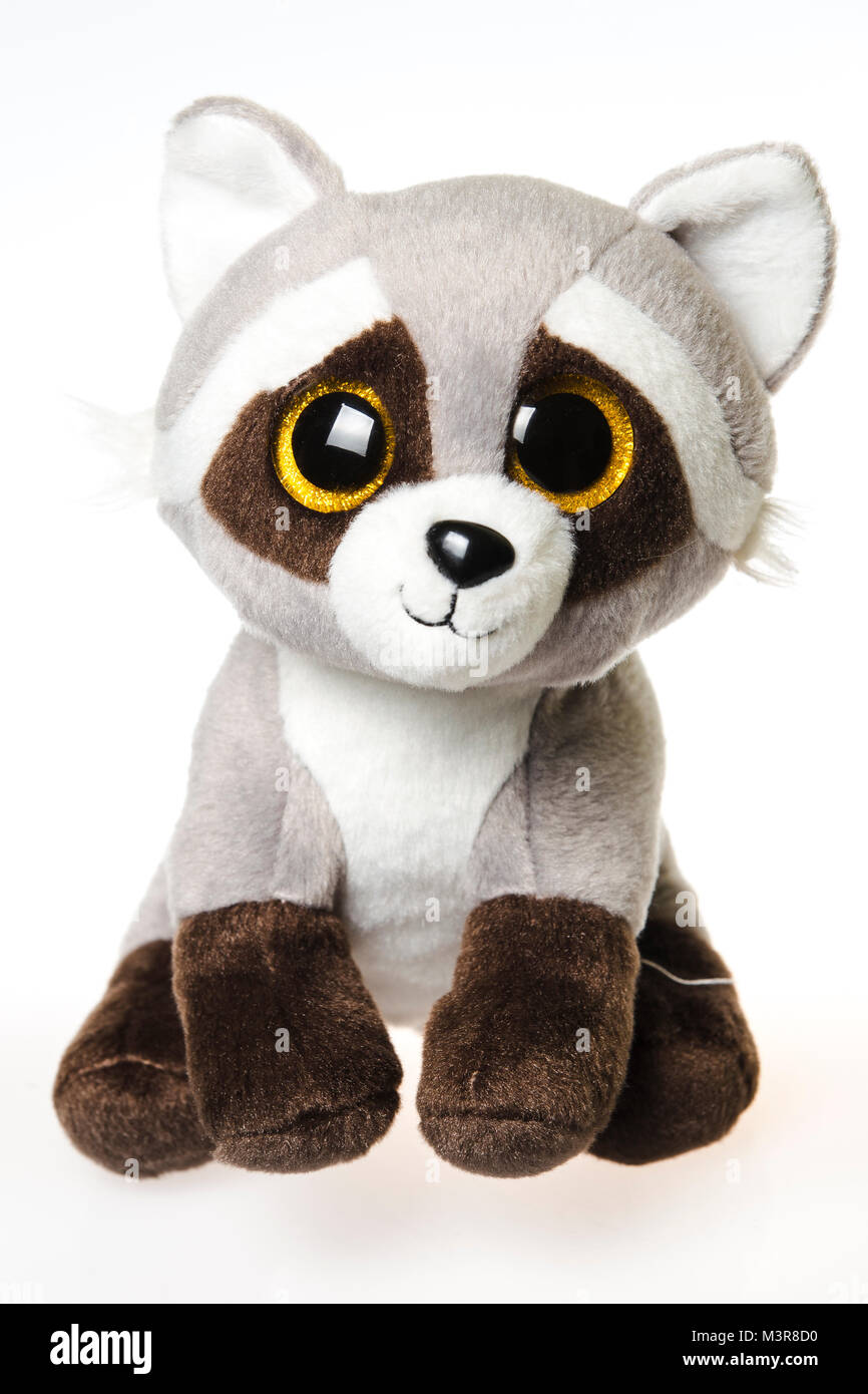 Cute cuddly raccoon toy. Raccoon - small plush toy animal Stock Photo ...
