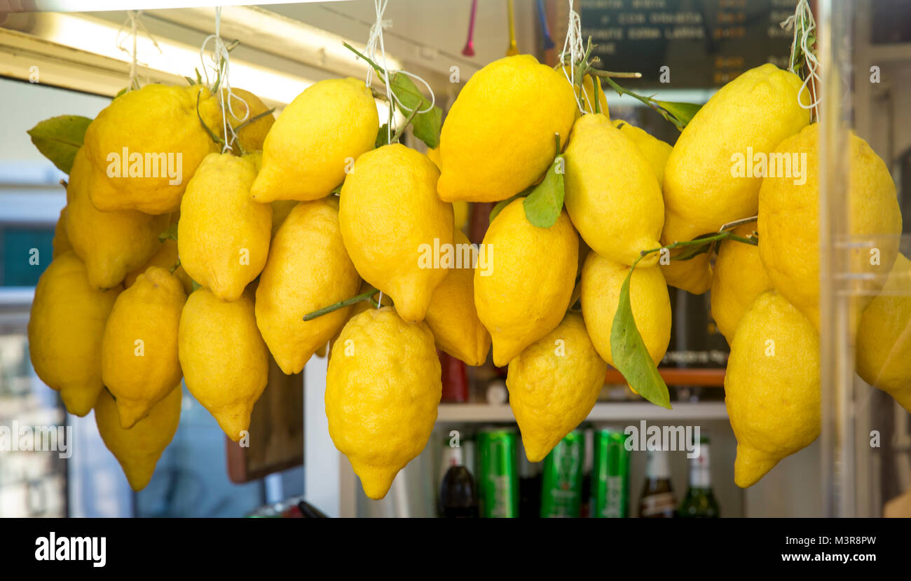 A bunch of fresh lemons on Capri Island in Italy Stock Photo - Alamy
