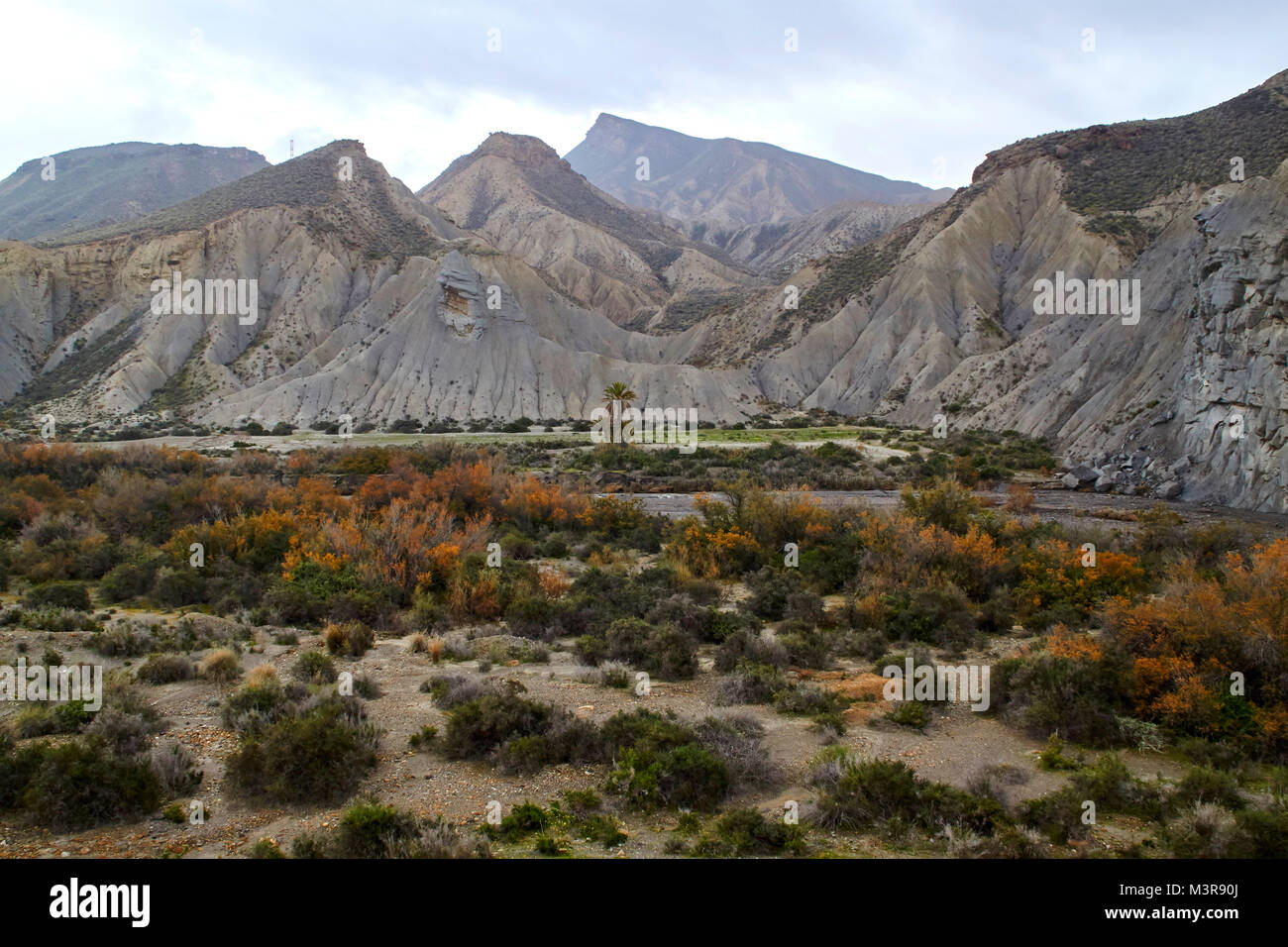 Desierto de Tabernas, Tabernas desert Stock Photo - Alamy