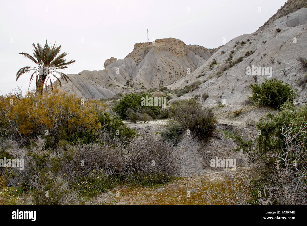 Desierto de tabernas hi-res stock photography and images - Alamy