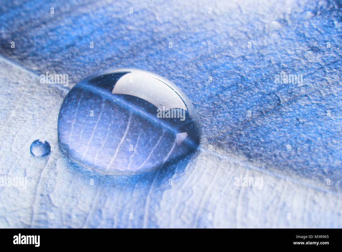 Water droplet design hi-res stock photography and images - Alamy