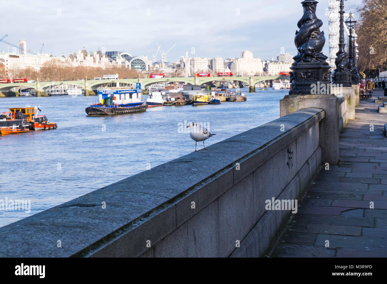 Albert embankment south bank london promenade Stock Photo - Alamy