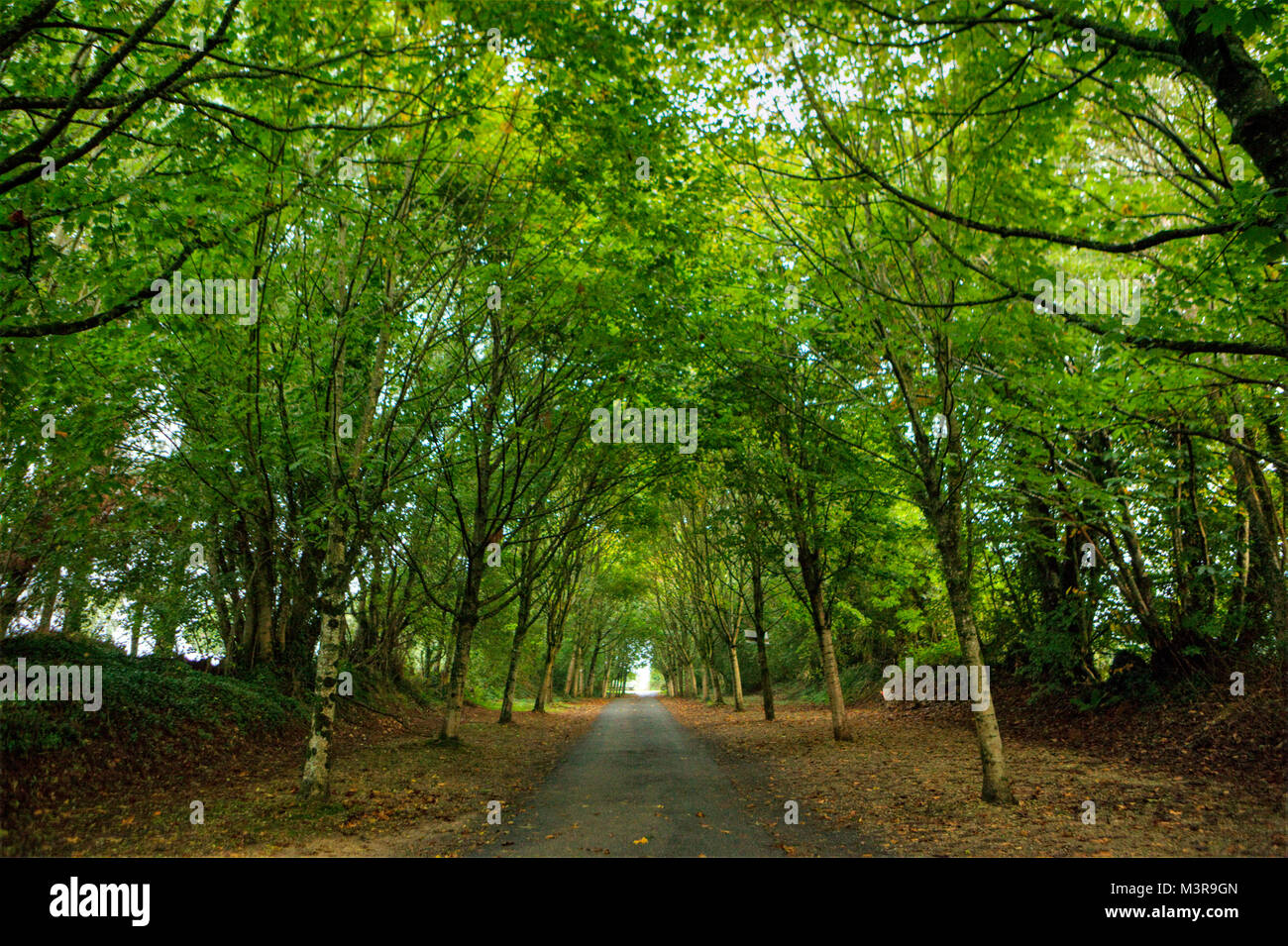 Located on a 2000-m2 parkland, Domaine de Meros offers accommodation a ...