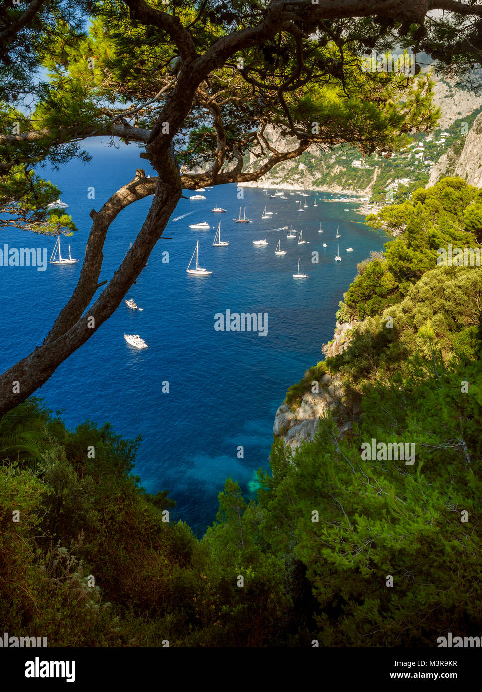 Yachts at the shoreline of Capri island in Italy Stock Photo - Alamy
