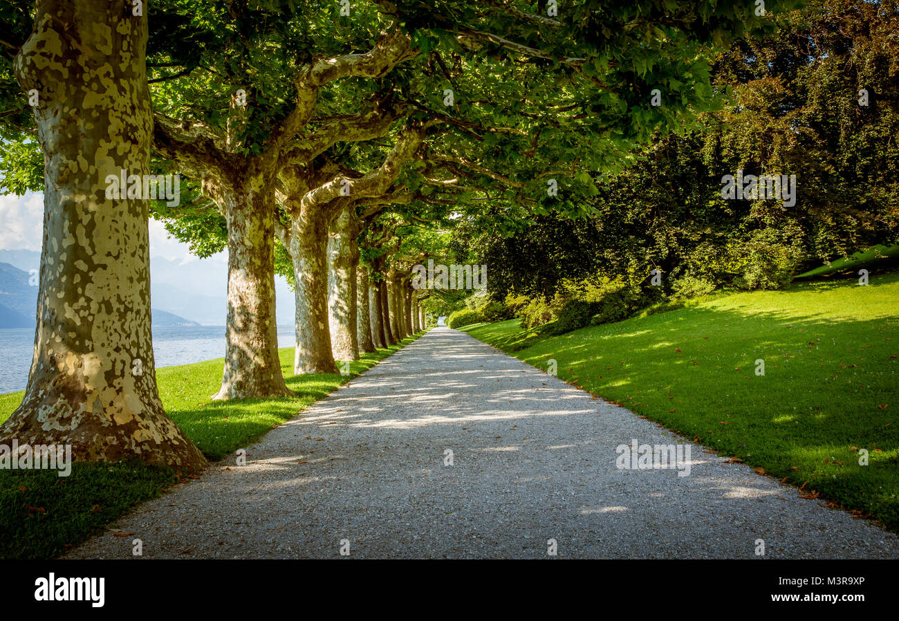 Walking along lake como hi-res stock photography and images - Alamy