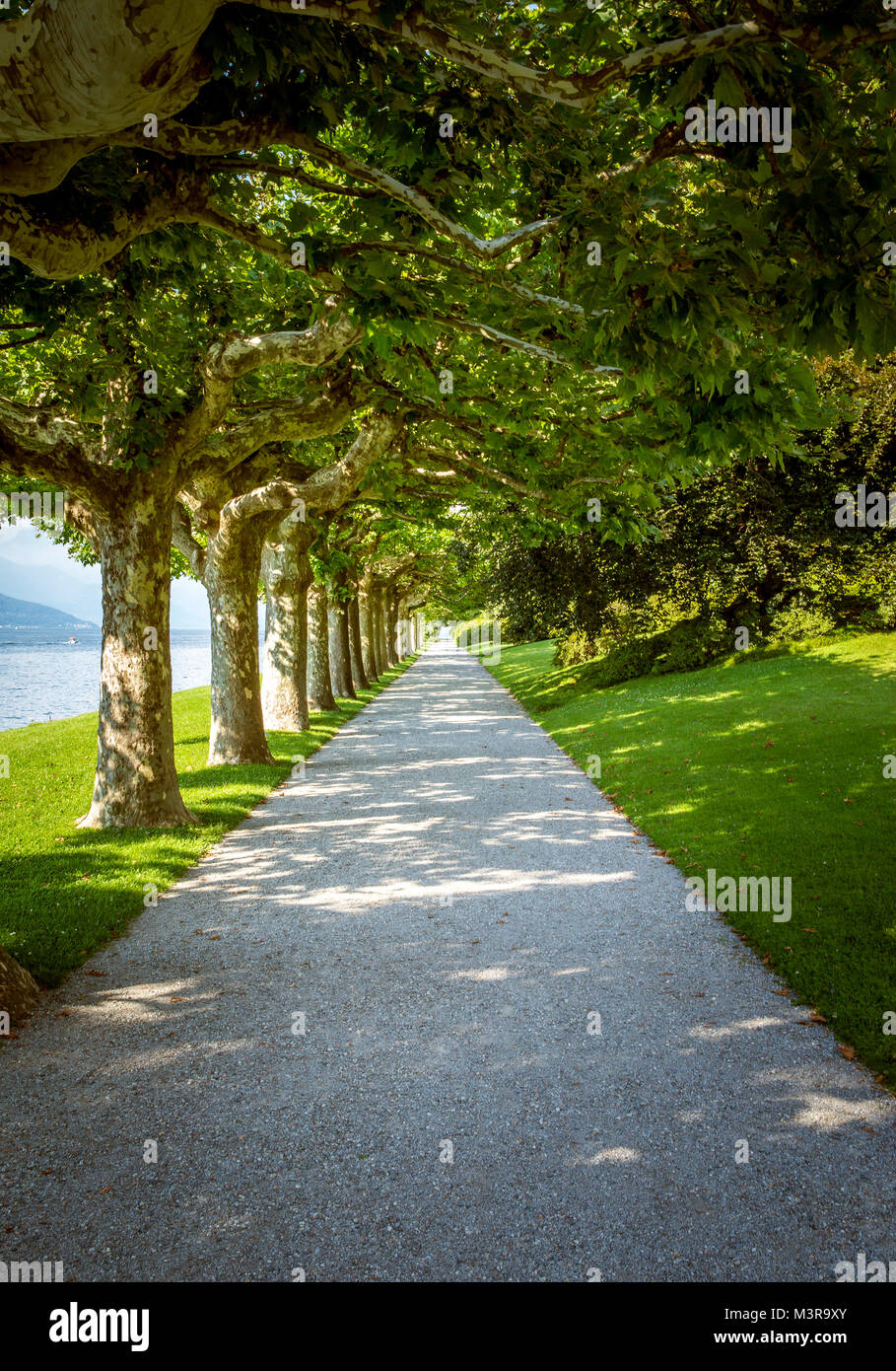 Walking along lake como hi-res stock photography and images - Alamy