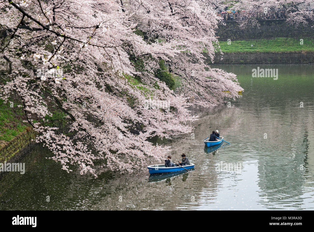 Japan, Honshu island, Kanto, Tokyo, moats of the Imperial Castle in ...