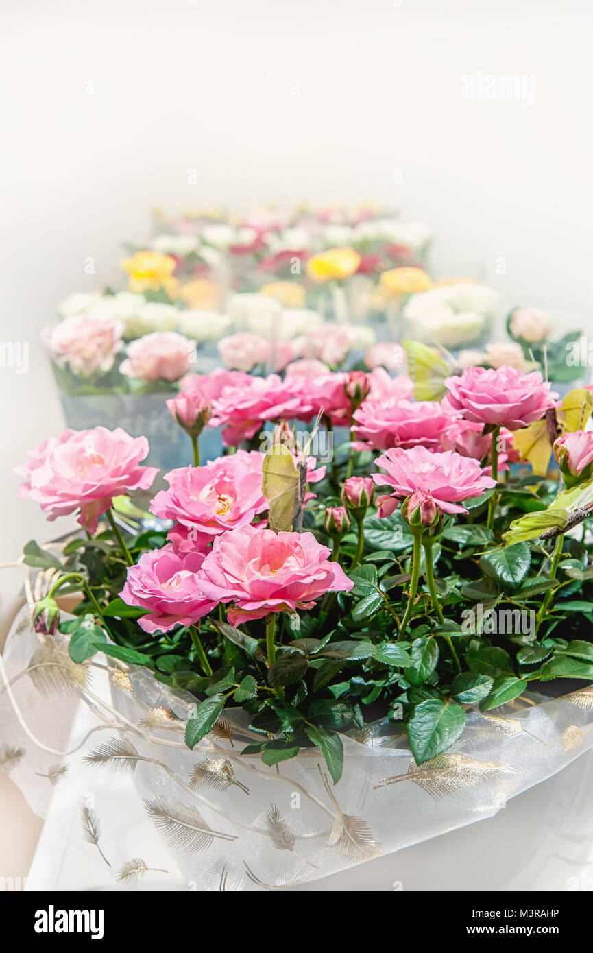 Farmers market roses hi-res stock photography and images - Alamy