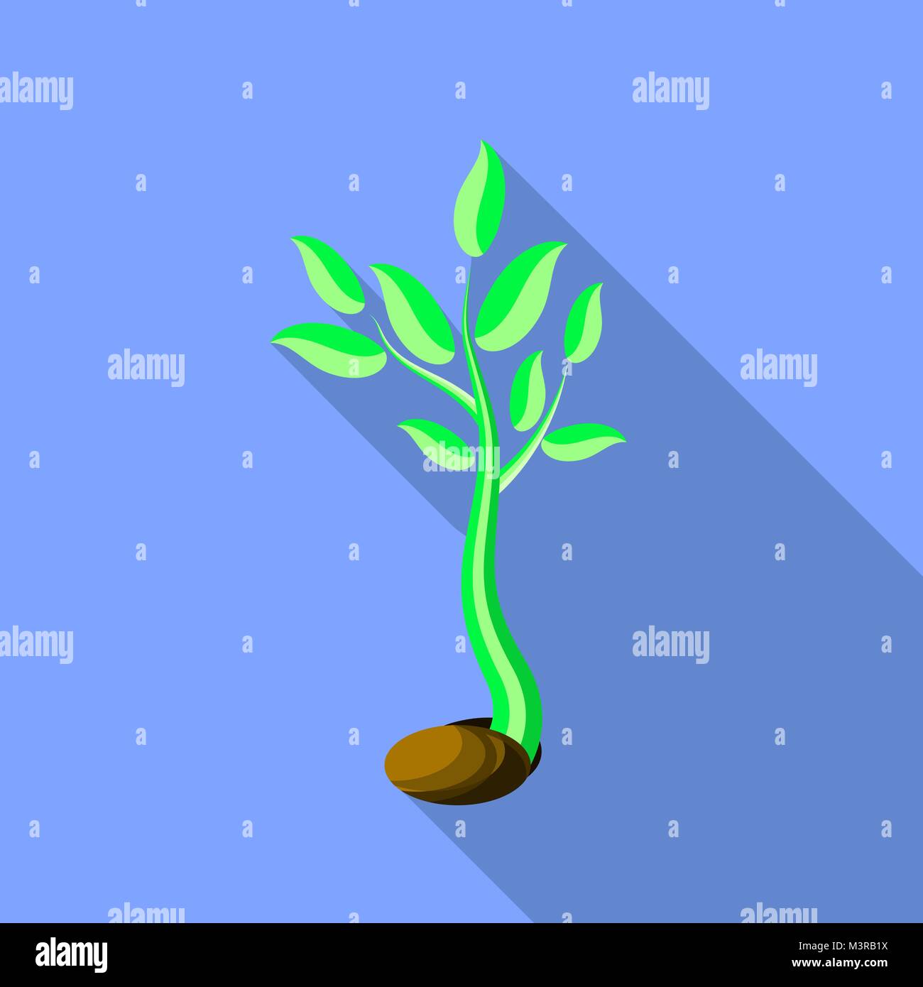 Plant Growth. Little Green Sprout Seedling Germinating from Seed Stock ...
