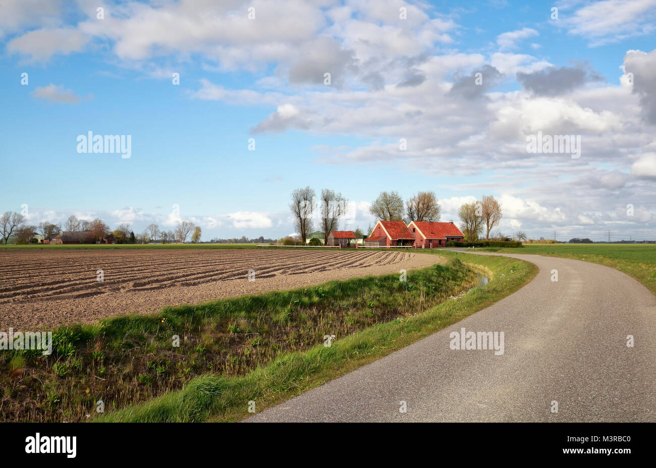 road in Dutch farmland during sunny day, Groningen Stock Photo - Alamy