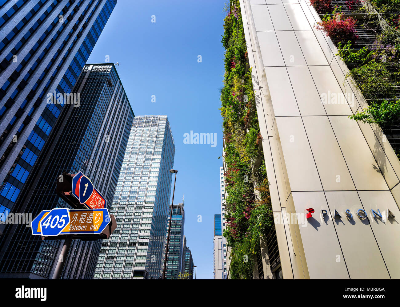 Japan, Honshu island, Kanto, Tokyo, Pasona building, the urban farm ...