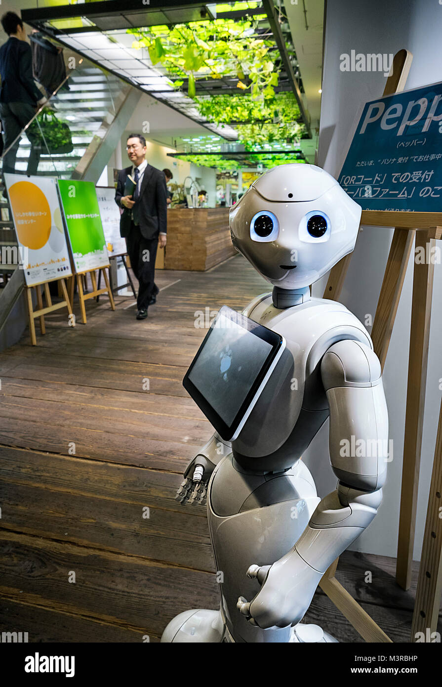 Japan, Honshu island, Kanto, Tokyo, Pasona building, the urban farm, a ...