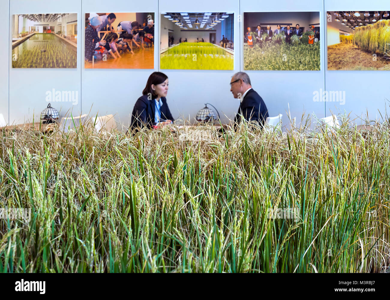 Pasona tokyo hi-res stock photography and images - Alamy