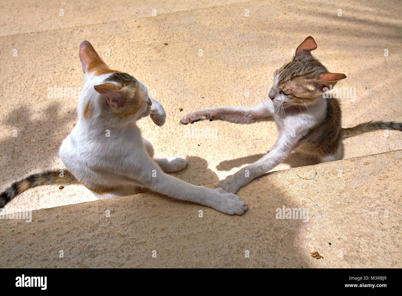 Life on Pemba Island Stock Photo - Alamy