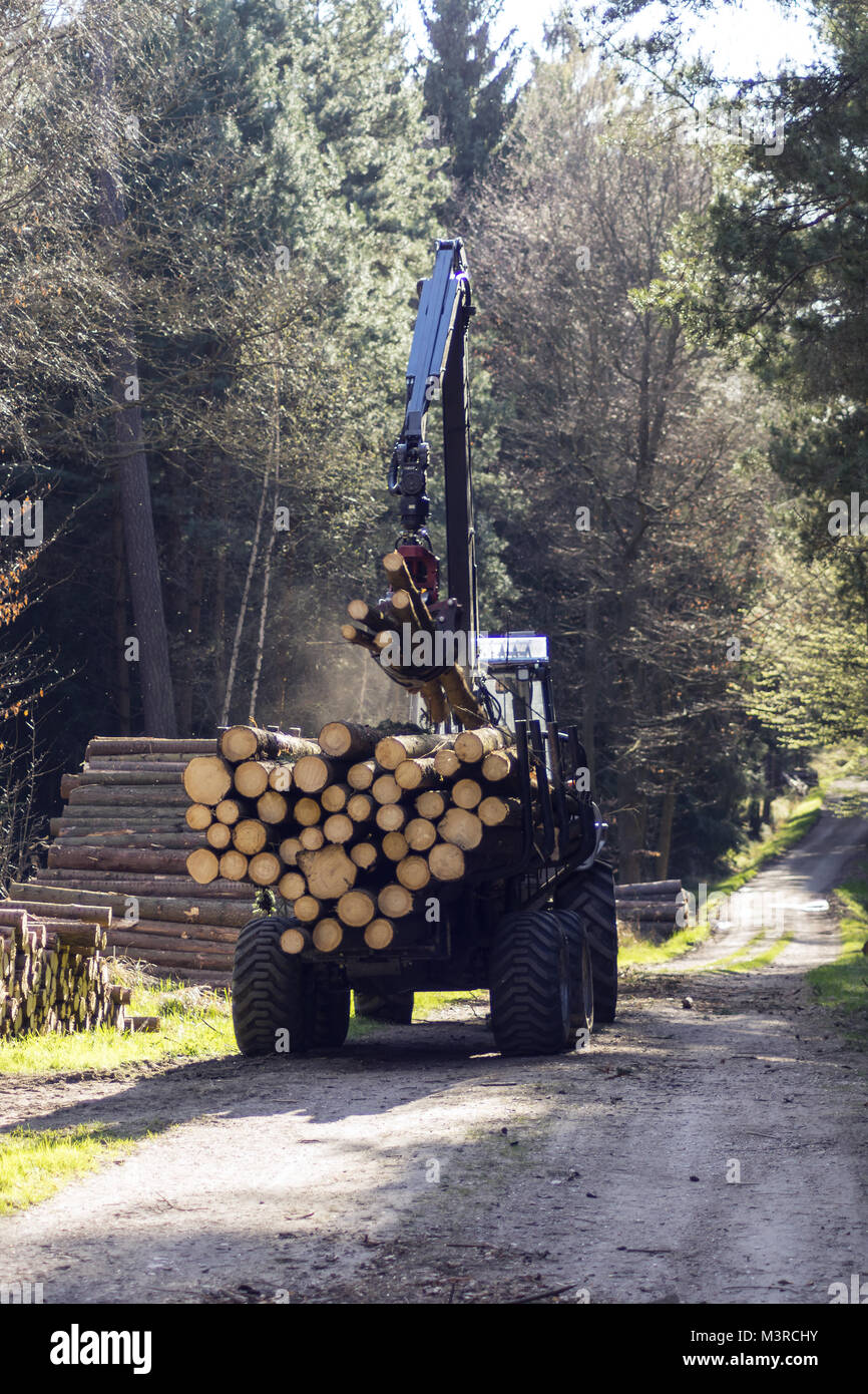 Special tractors for processing of harvested timber in the forest Stock ...
