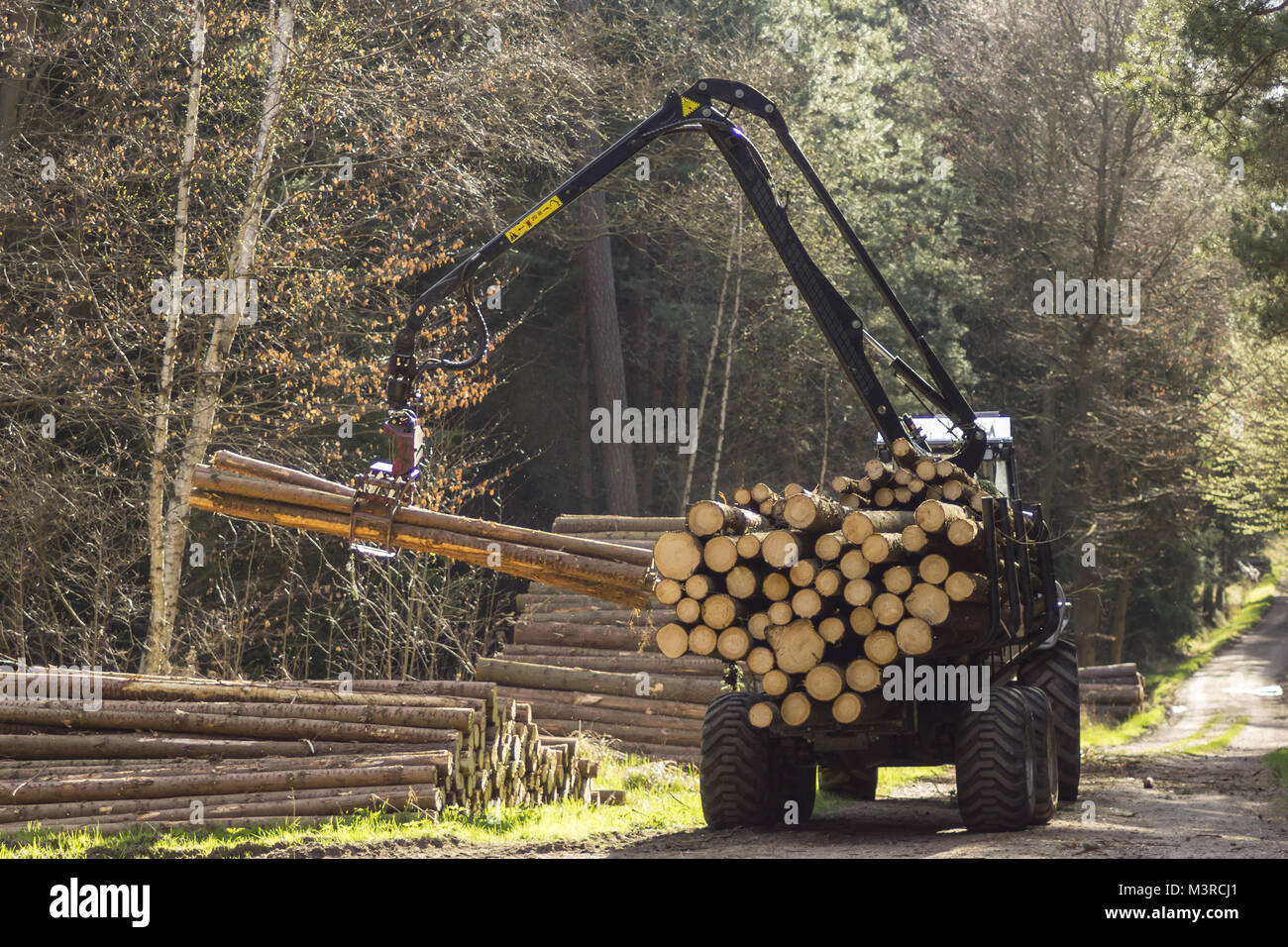 Special tractors for processing of harvested timber in the forest Stock ...