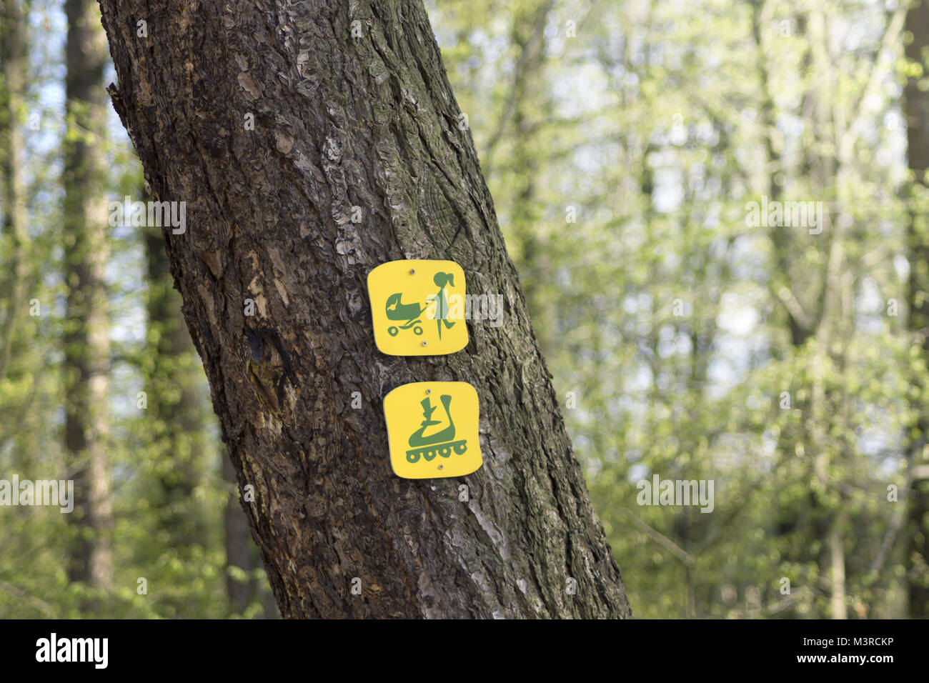 Tourist sign on a tree in the forest Stock Photo - Alamy