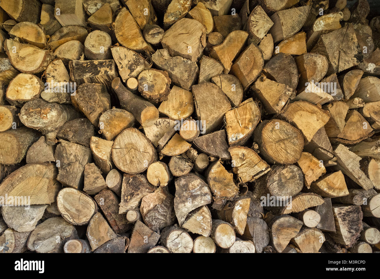 Log store hi-res stock photography and images - Alamy