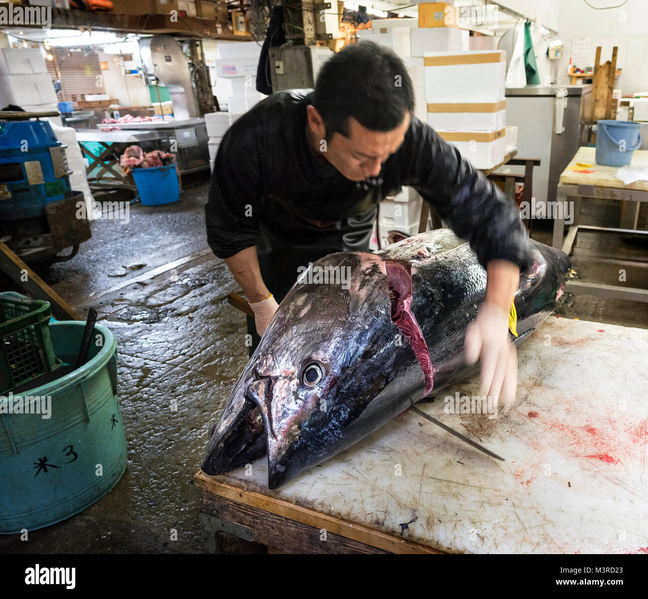 Japan, Honshu island, Kanto, Tokyo, Tsukiji fish market, cutting tuna ...