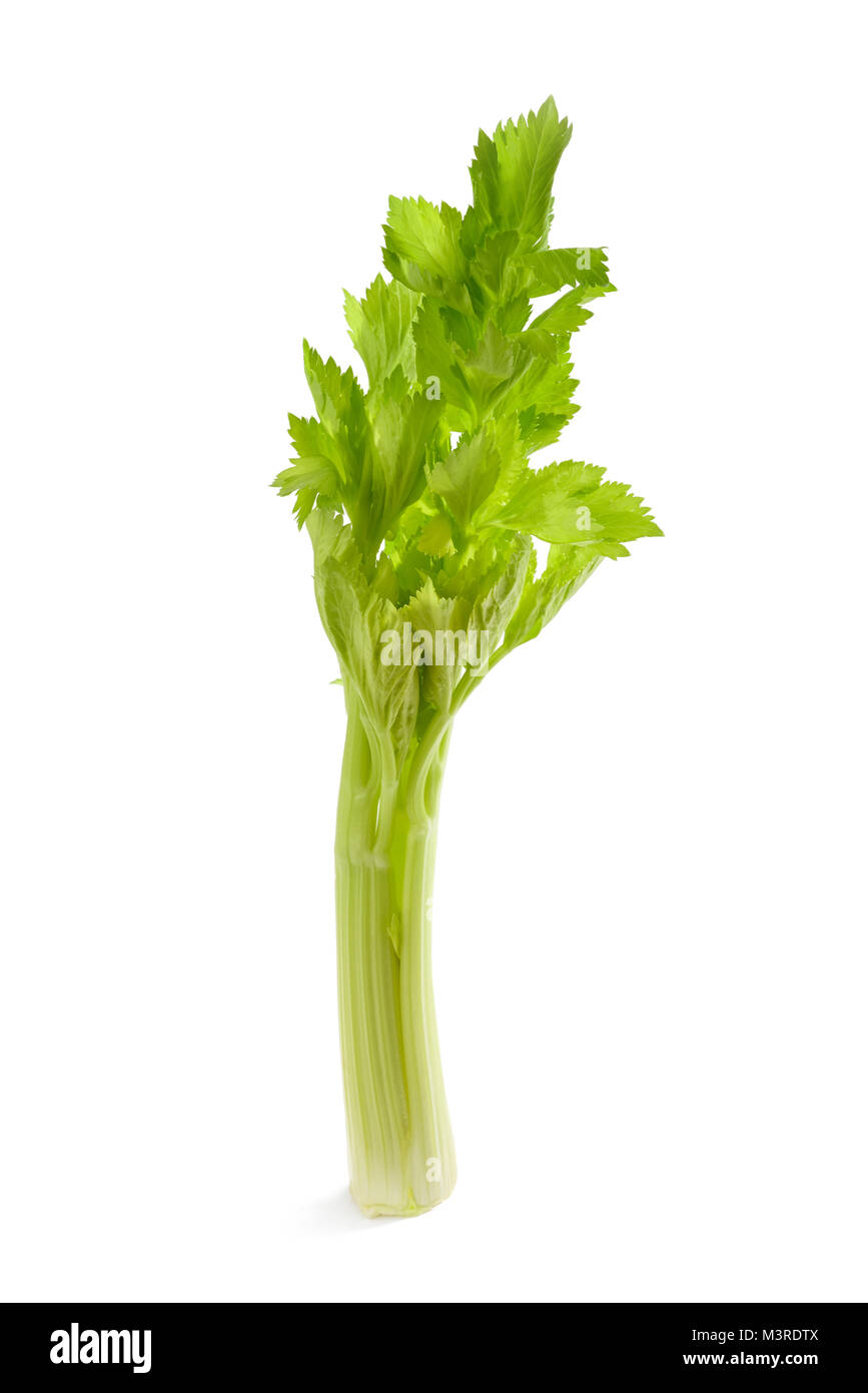 Celery stalk hi-res stock photography and images - Alamy