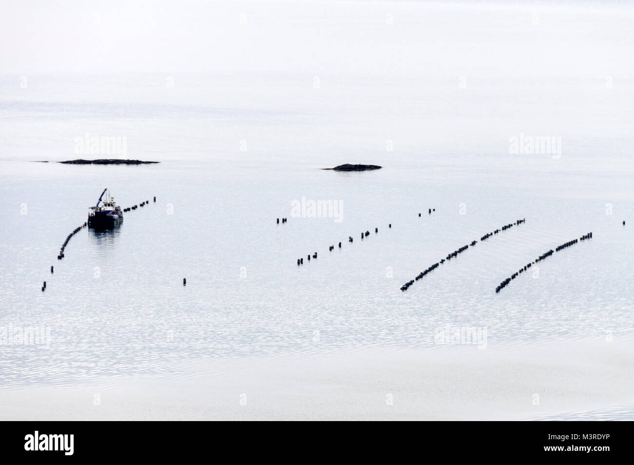 Mussel-farming in the Beara Peninsula, Southern Ireland Stock Photo - Alamy