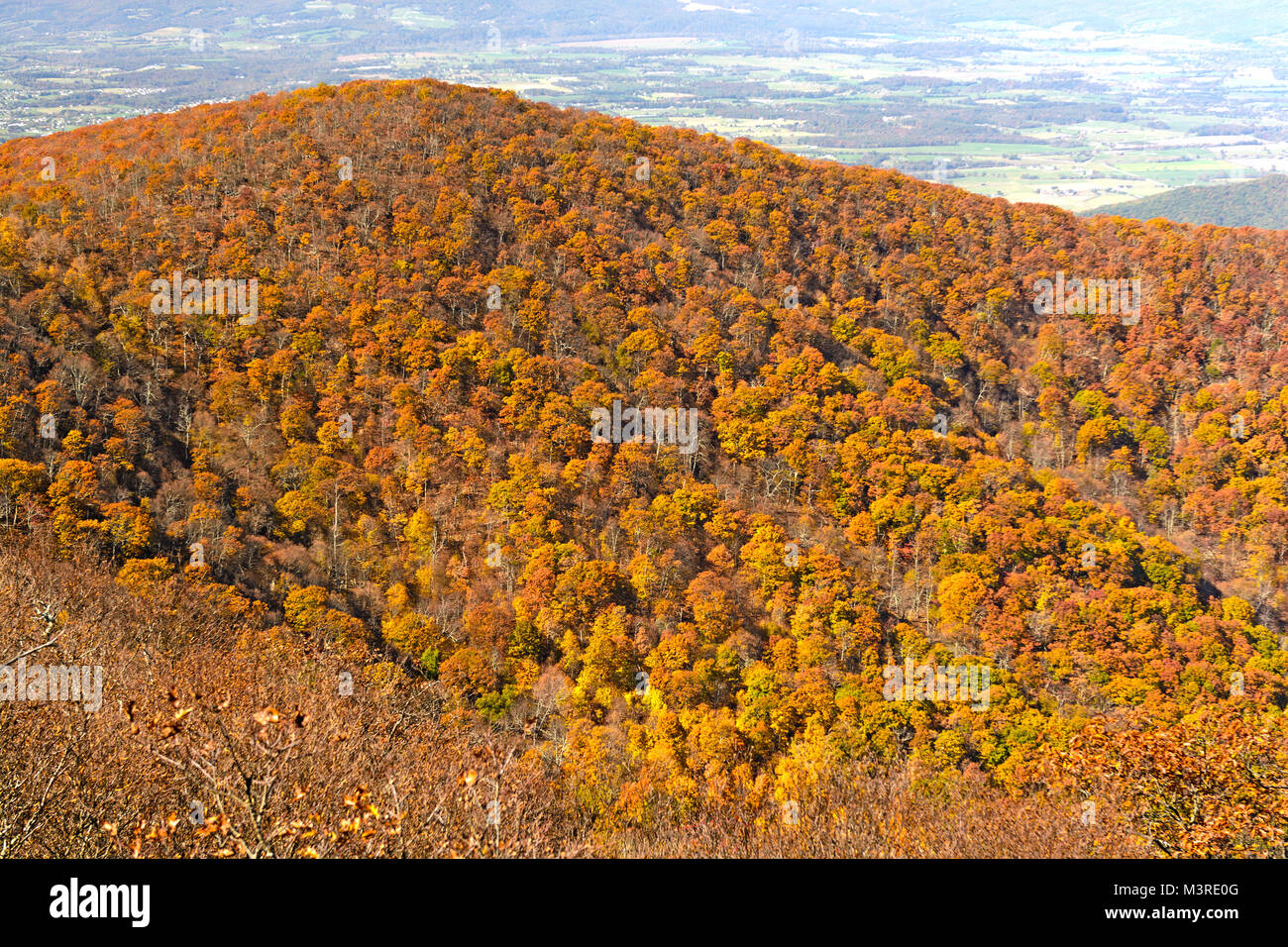 Appalachian mountains aerial hi-res stock photography and images - Alamy